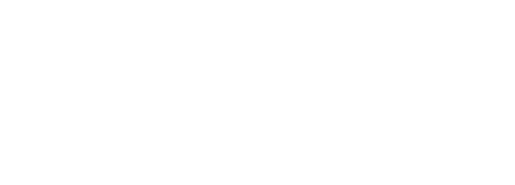 Compact Reversed – NLC 100